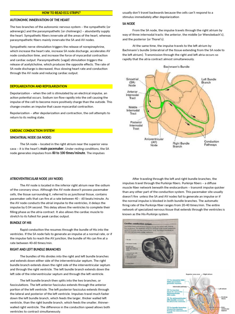 How To Read Ecg Strips | PDF | Electrocardiography | Heart