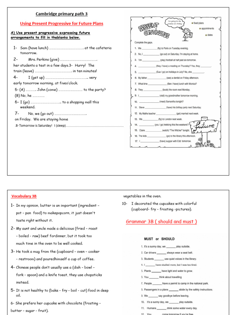 Cambridge Primary Path 3 - 3A Grammar - 3b Vocab and Grammar | PDF