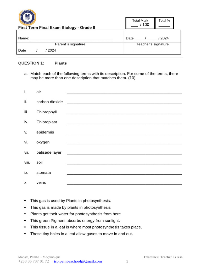 Grade 8 Biology Exam: Plants & Digestion | PDF | Leaf | Photosynthesis