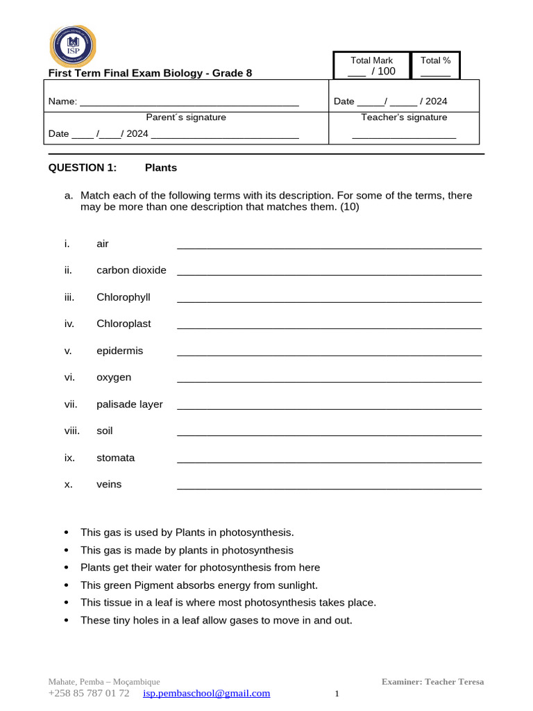 Grade 8 Biology Final Exam Guide | PDF | Leaf | Photosynthesis