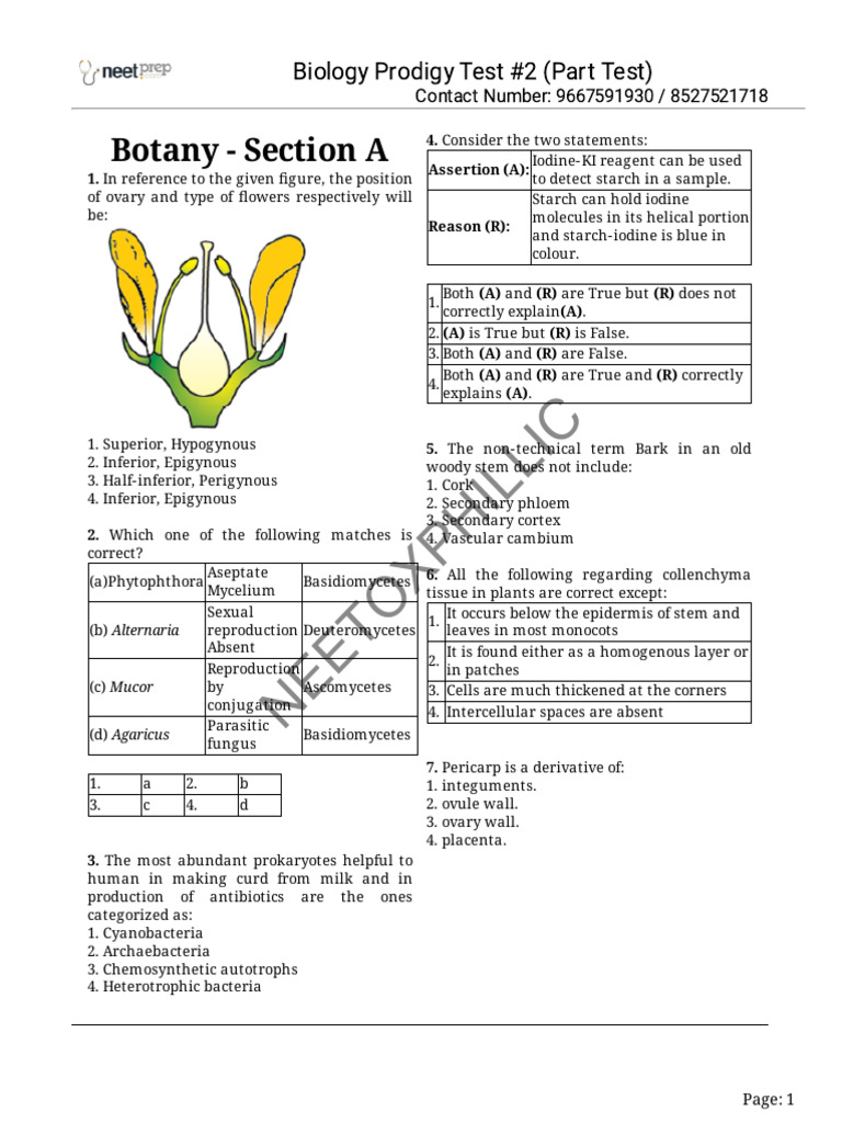 Botany Quiz: Plant Biology Concepts | PDF | Meiosis | Cell (Biology)