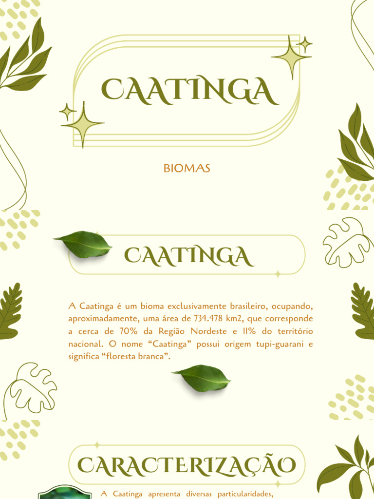 Caatinga: Bioma Exclusivo do Brasil | PDF | Geociências | Ambiente natural