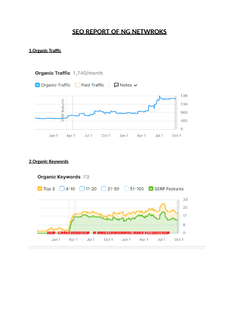 SEO Report of NG Netwroks | PDF