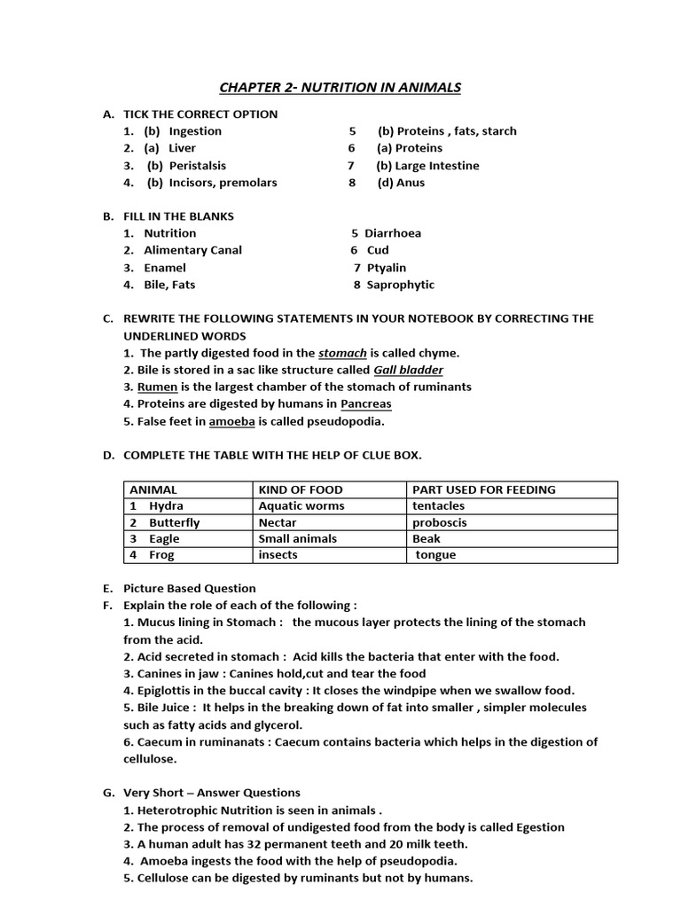 Nut Animals Chap2 Class7 | PDF | Digestion | Digestive System