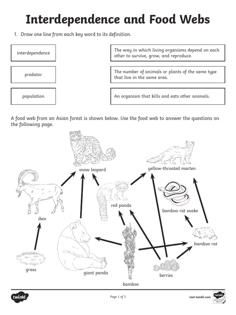 BW Interdependence and Food Webs Support | PDF | Predation | Food Web