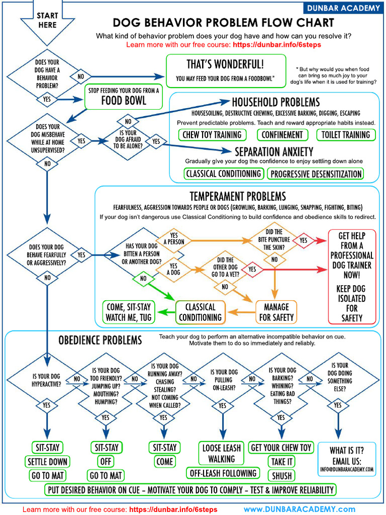 Behavior Problems Flowchart 2023 | PDF