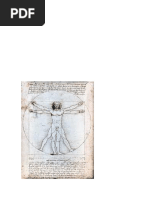 Proporciones De Anatomia Pdf