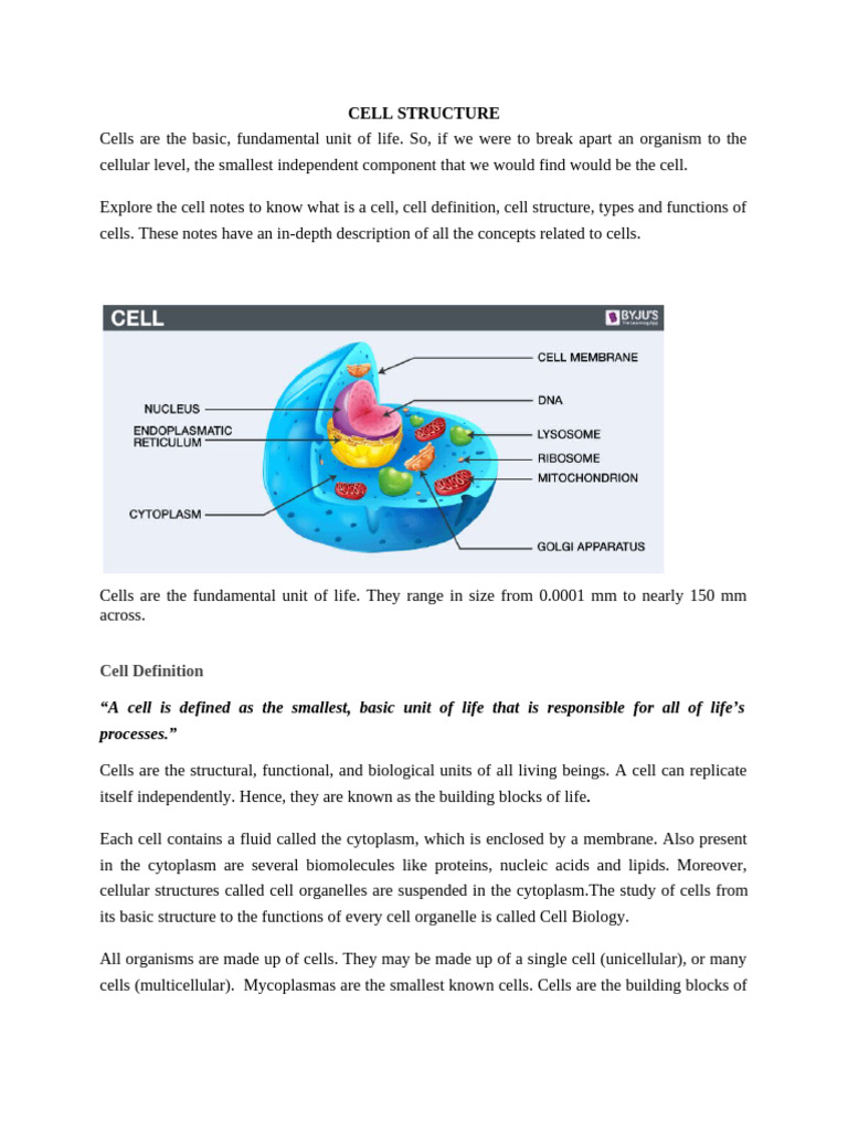 CELL Structure | PDF | Cell (Biology) | Cytoplasm