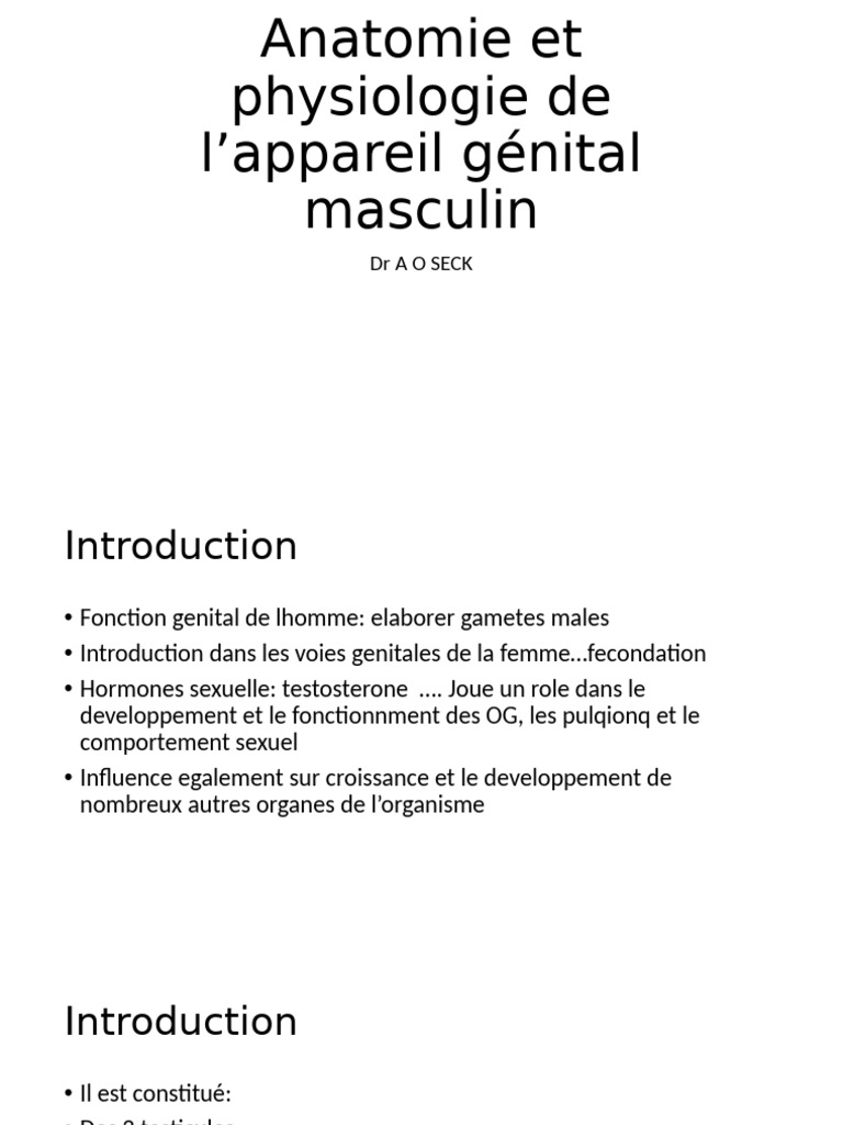 Anatomie et physiologie génital masculin | PDF | Testicule | Prostate