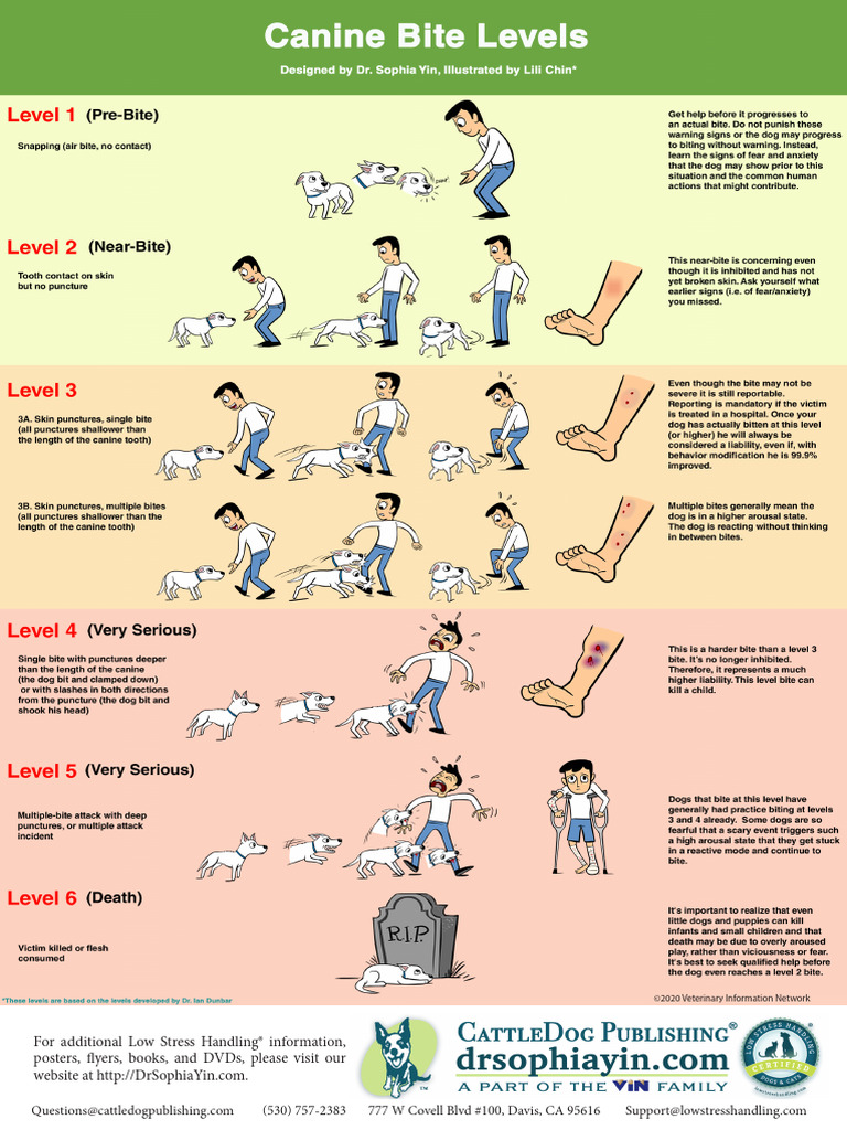 Dog Bite Scale Sophia Yin | PDF
