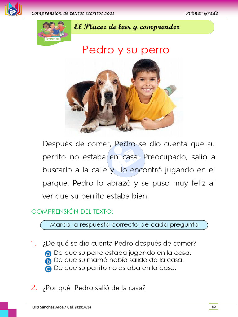 Comprensión Lectora: Pedro y su Perro | PDF