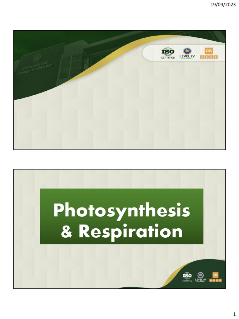Plant Photosynthesis and Respiration Guide | PDF | Photosynthesis ...