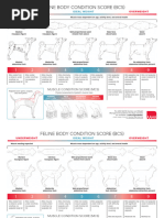 Royal Canin Body Condition Score Charts | PDF | Abdomen | Pelvis