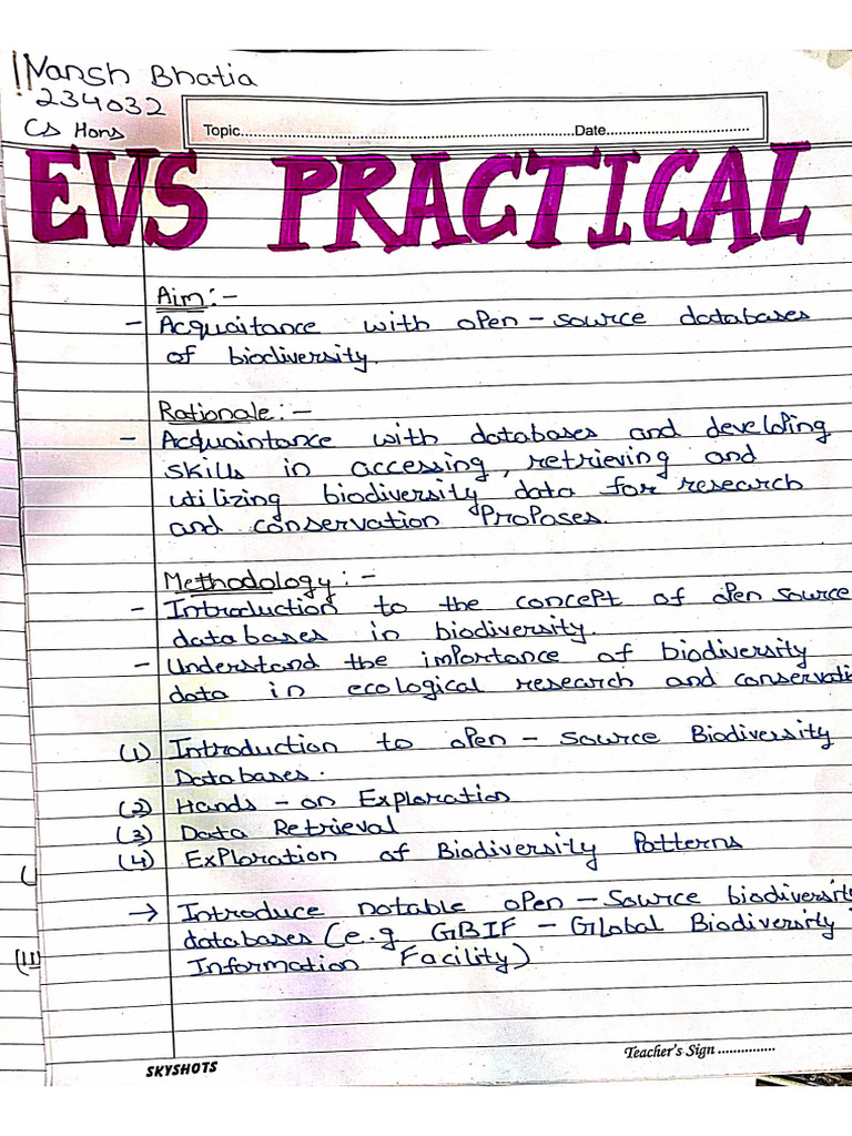 Evs Project File | PDF