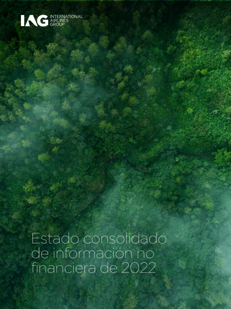 Estado de Informacion No Financiera Consolidado 2022 | PDF | Sustentabilidad | Residuos