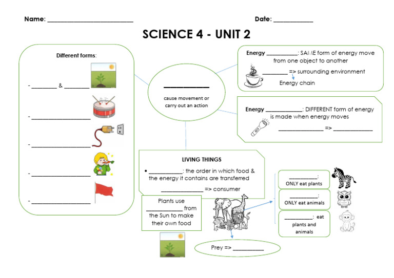 1119 - Science - Recap Unit 2 Book 4 | PDF