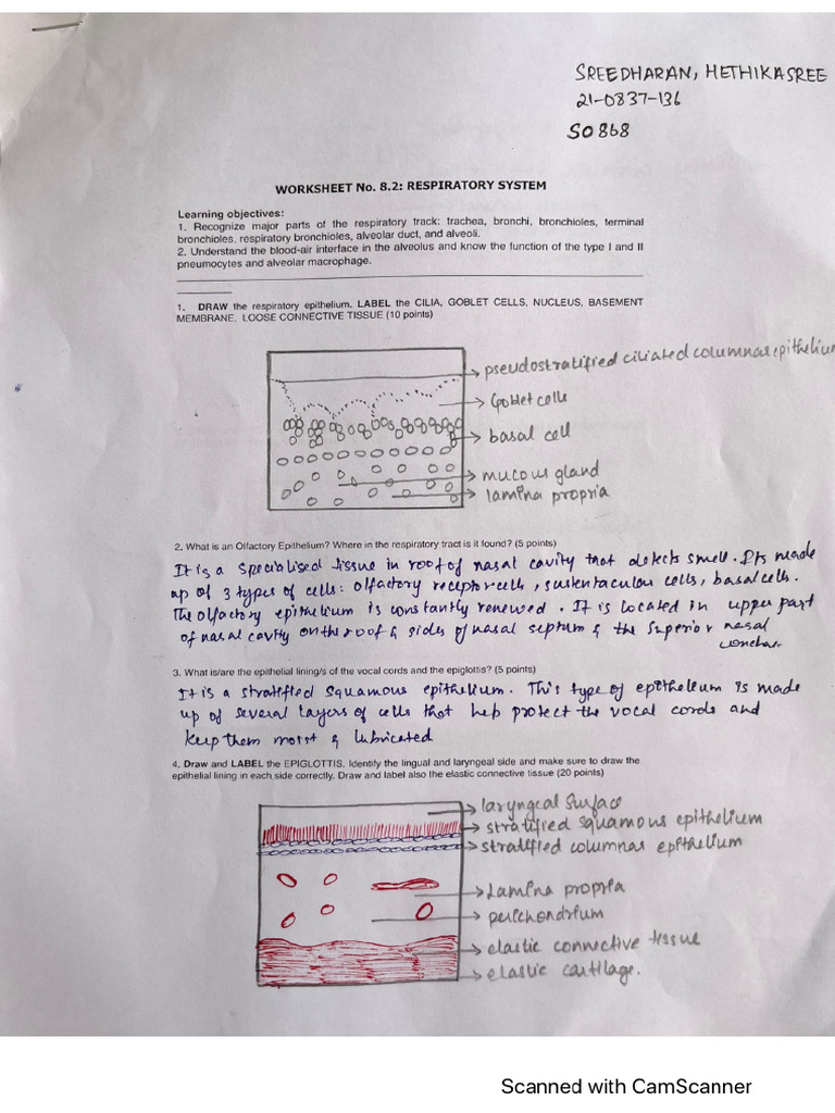 Hethika Sree Ws8.2 | PDF