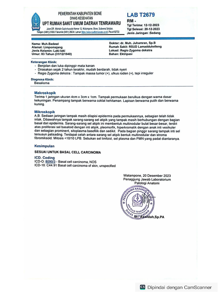 T2679 Muh. Badawi | PDF