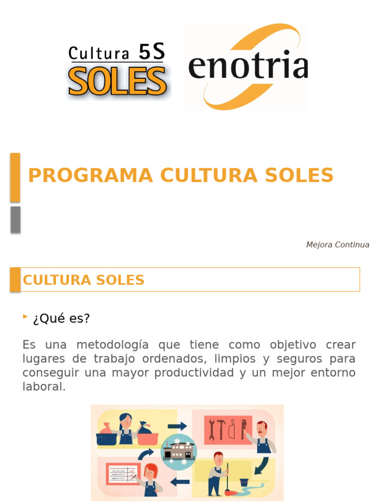 Presentacion 5s - MC - 2021 - IV | PDF