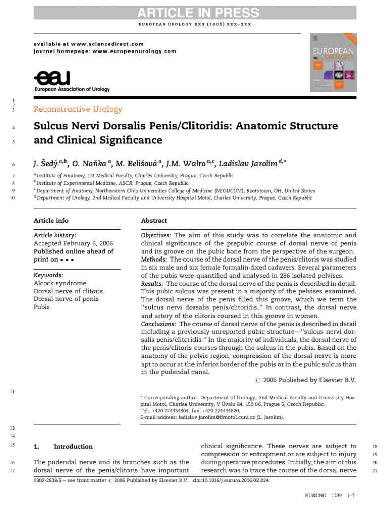 Uncorrected Proof: Sulcus Nervi Dorsalis Penis/Clitoridis: Anatomic ...