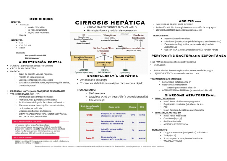 Gulag Free | PDF | Cirrosis | Especialidades Medicas