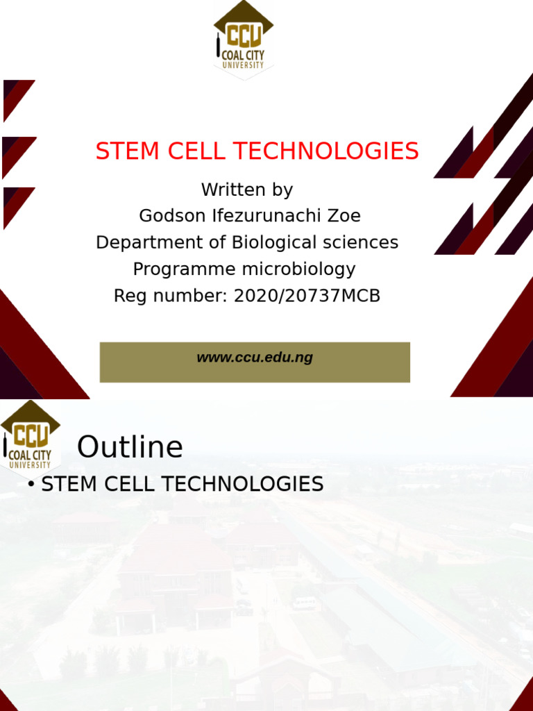 Mbah Stem Cell Presentation | PDF | Stem Cell | Cell Potency