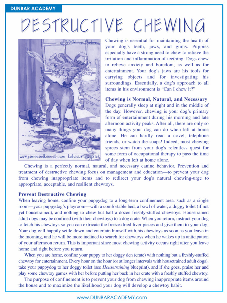 Destructive Chewing | PDF