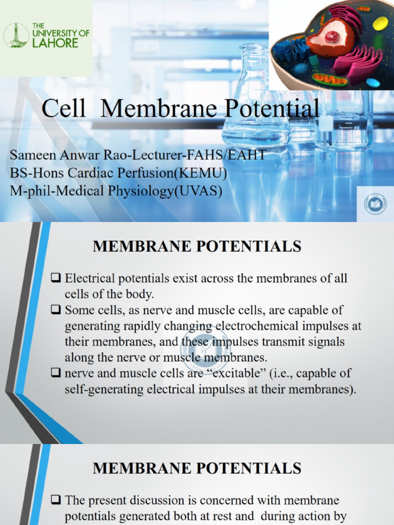 Cell Membrane Potentials Picture | PDF