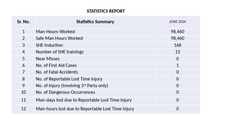 June 2024 Safety Statistics Report | PDF