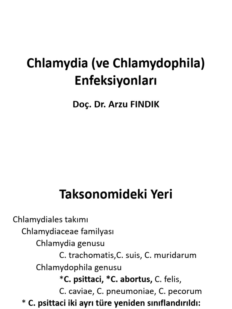 Chlamydia Enfeksiyonları2022 | PDF