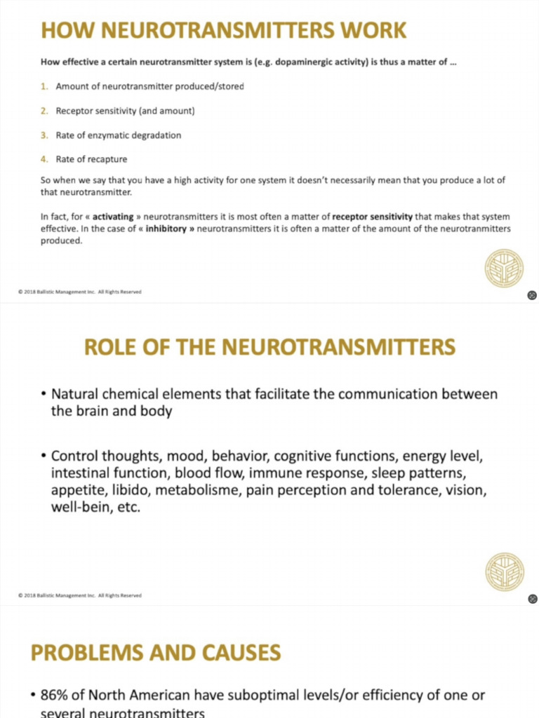 Neurotyping 1 2 3 Slide Exclu | PDF