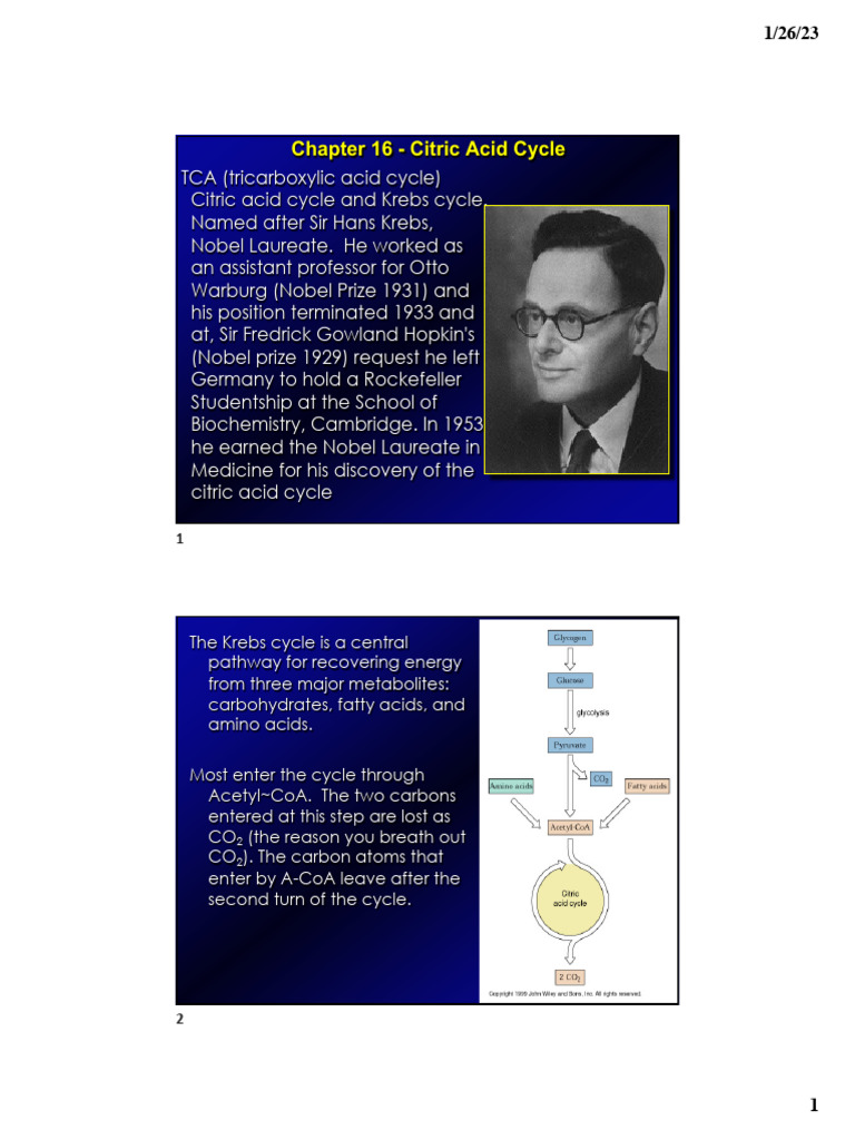 CHEM 332 Krebs Cycle F2023 Handout | PDF | Citric Acid Cycle | Chemistry