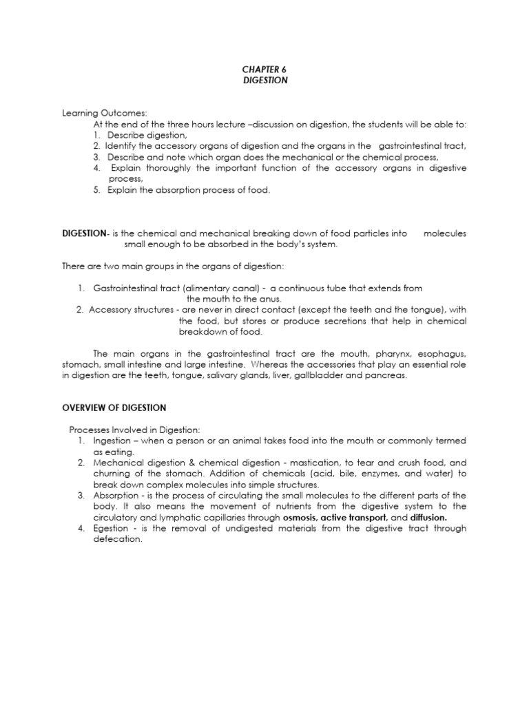 Understanding Human Digestion Process Pdf Digestion Stomach