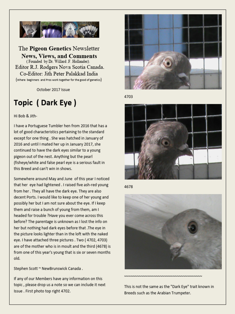 Pigeon Genetics Insights: October 2017 | PDF | Dominance (Genetics ...