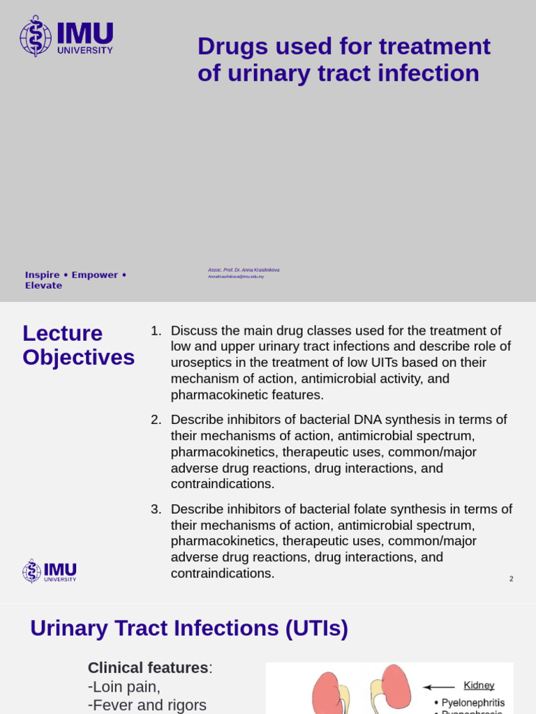 Lecture Drugs Used For Treatment of Urinary Tract Infections | PDF ...