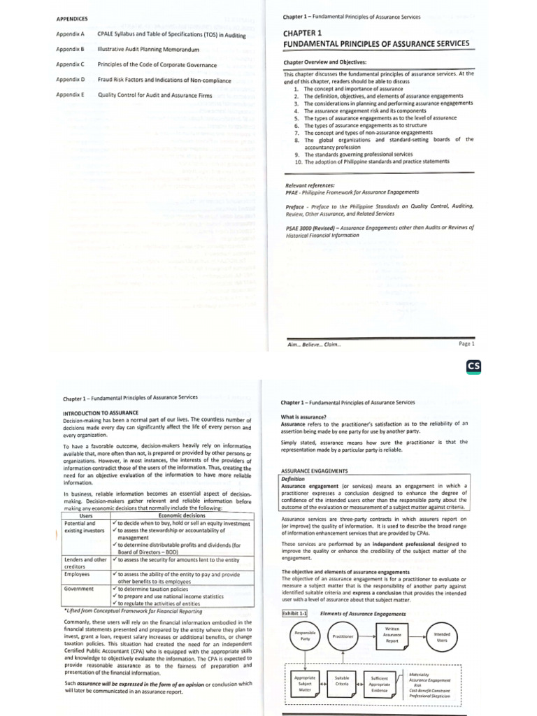 Chapter1 Auditing | PDF