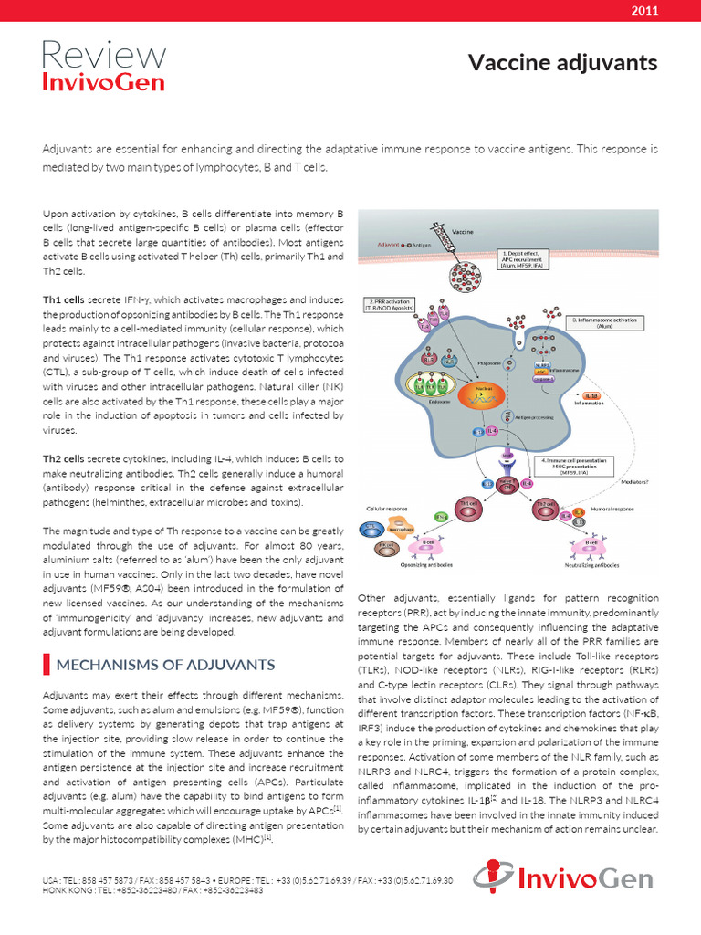 Review Vaccine Adjuvants Invivogen | PDF | Antigen | Immune System