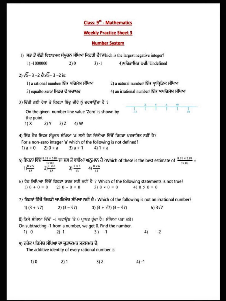 Class 9 Worksheet 3 | PDF