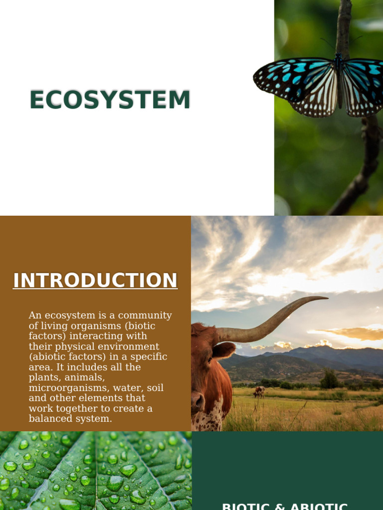 Ecosystem | PDF