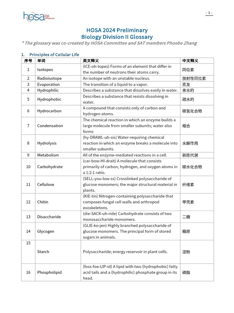 Hosa单词表 | PDF | Neuron | Nervous System