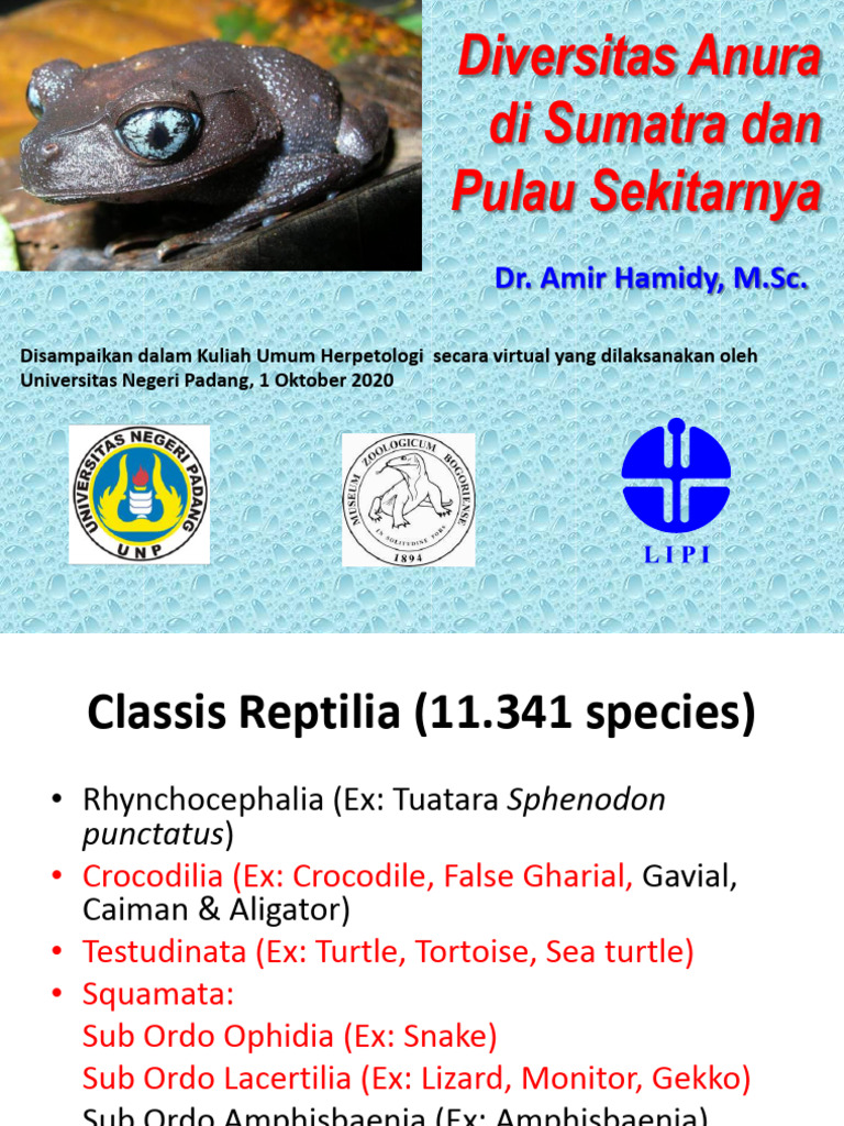 Diversitas Amfibi dan Reptil Sumatra | PDF