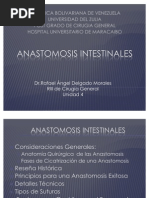 Parche de Graham | PDF