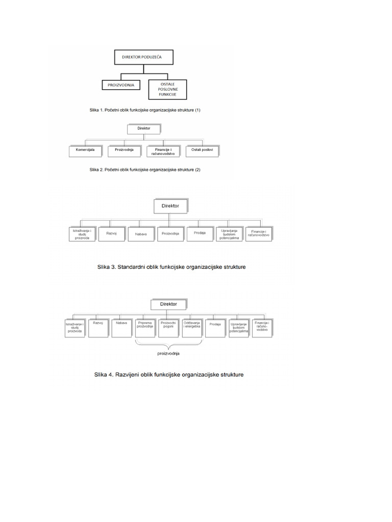 Organizacijske Strukture | PDF