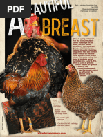 Pigeon Color Genetics and Breeding Chart | PDF | Dominance (Genetics ...