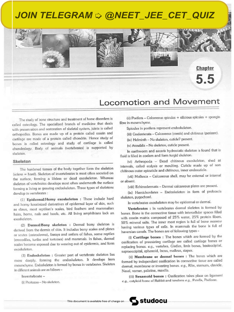 22 Locomotion and Movement Biology Notes 2 32 | PDF