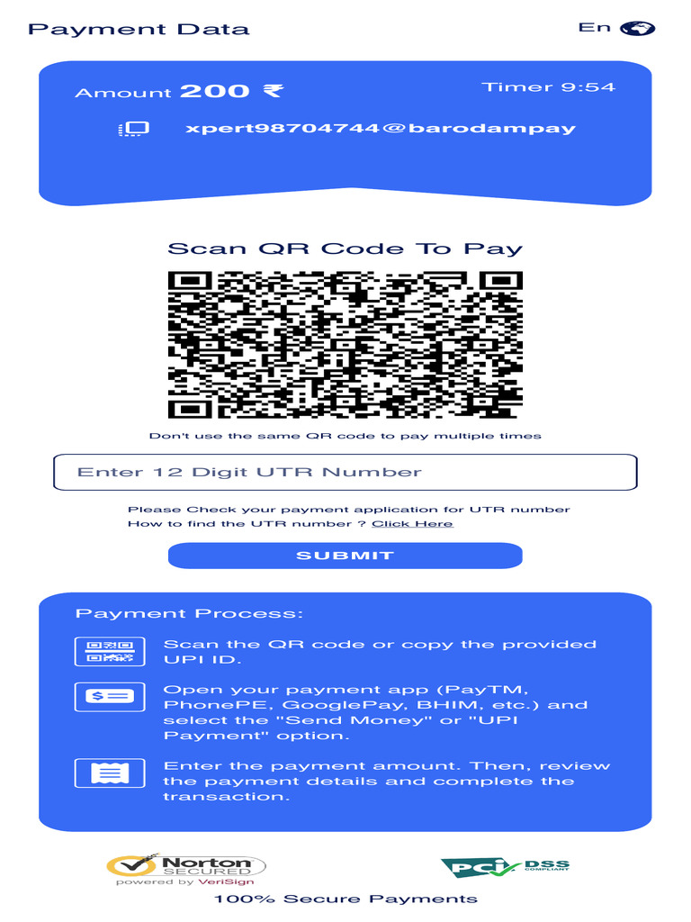 Secure UPI Payment Instructions | PDF
