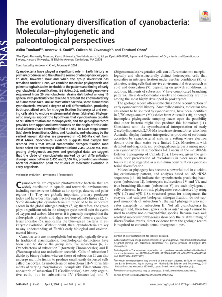Tomitani Et Al 2006 The Evolutionary Diversification of Cyanobacteria ...