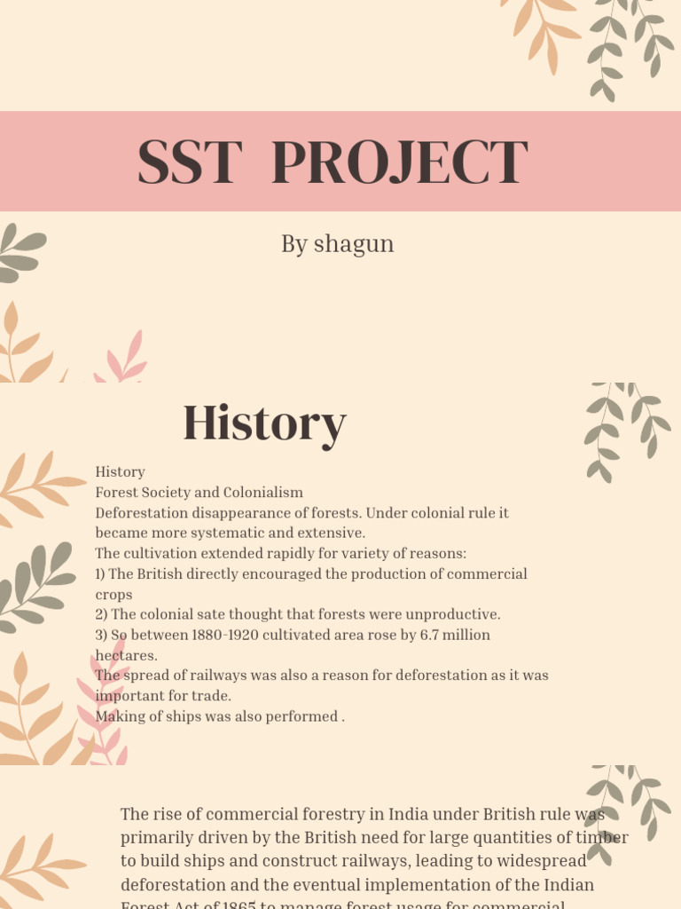 SST Project - 20241110 - 195406 - 0000 | PDF | Logging | Forestry