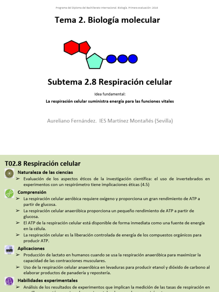2 - 8 - Respiración Celular | PDF | Respiración celular | Trifosfato de ...