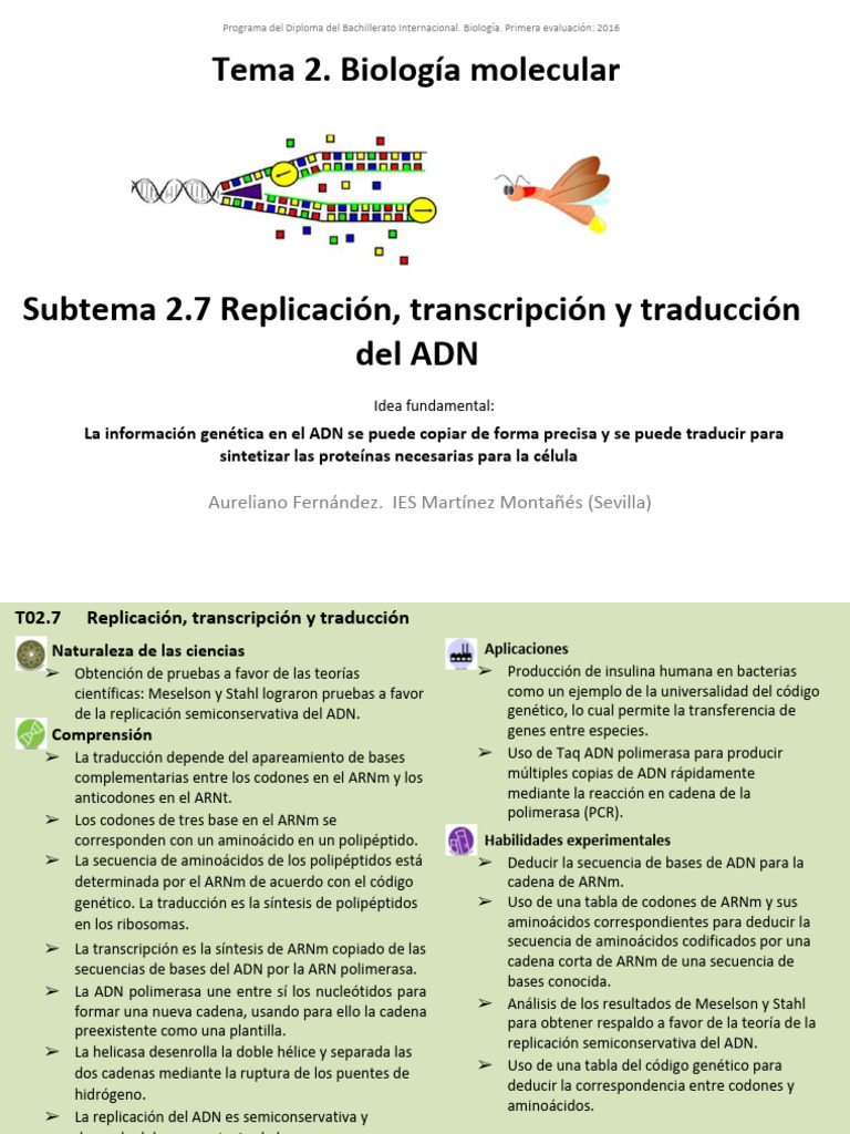 2 - 7 - Replicación - Transcripción y Traducción Del ADN | PDF | Rna | Traducción (biología)